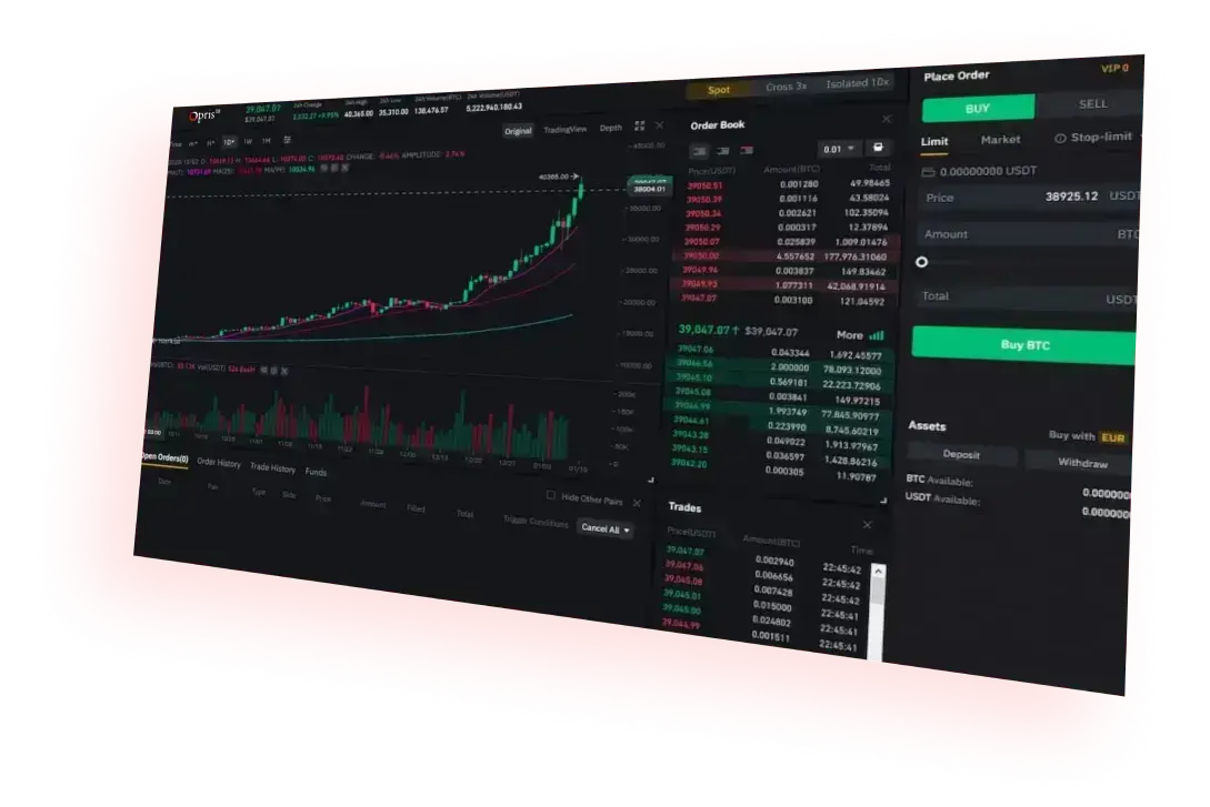 Centralized Crypto Exchange Development Service - Opris