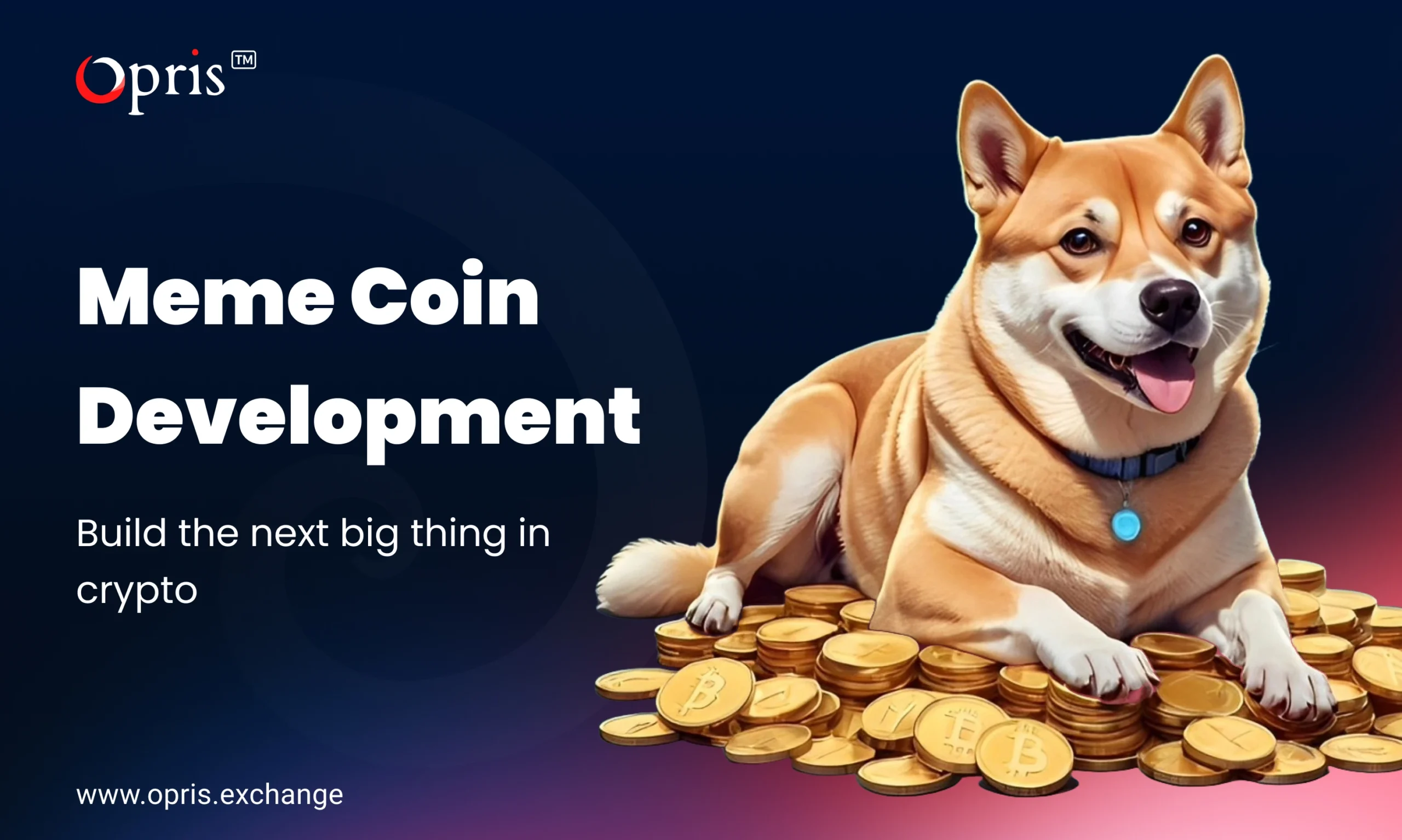 Meme Coin Development Company