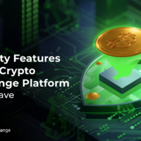 Crypto Copy Trading Software: Why This Platform Demand Is Rising?