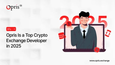 Why Opris Is a Top Crypto Exchange Developer in 2025